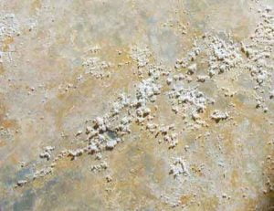 Efflorescence on Concrete, Brick, & Pavers – Causes & How to Remove It